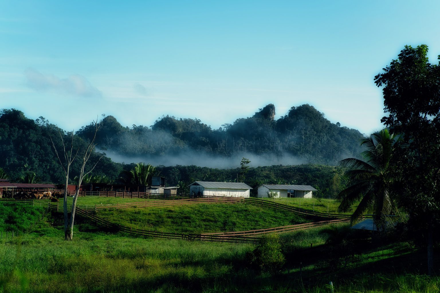 Coastal vs Inland Belize: Best Lifestyle for Expats